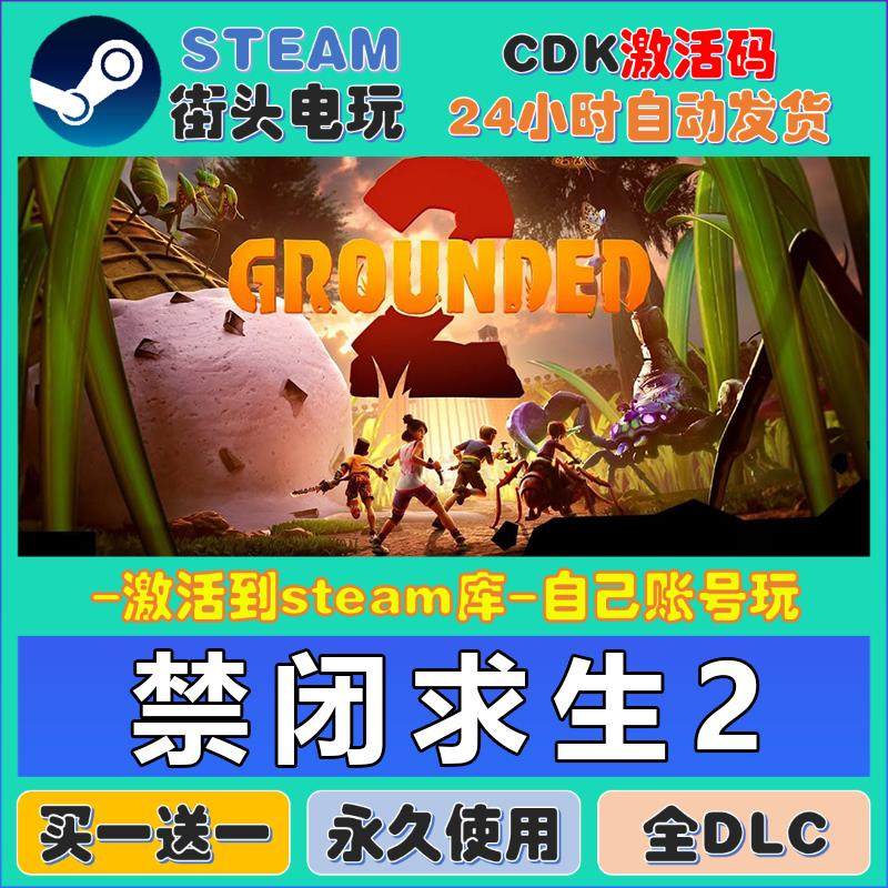 禁闭求生2 STEAM激活码CDK如何永久入库？多人联机包更新技巧全解析_steam游戏_淘宝游戏网