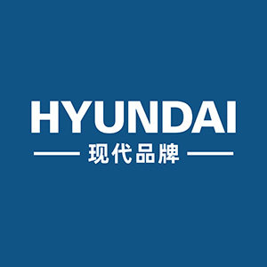 HYUNDAI现代优工邦专卖店