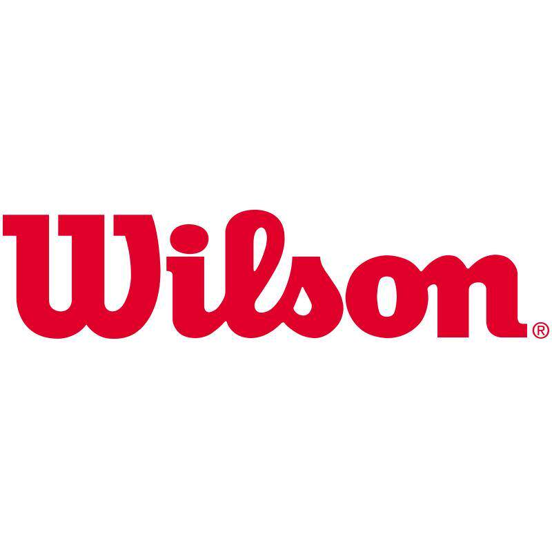 Wilson篮球旗舰店