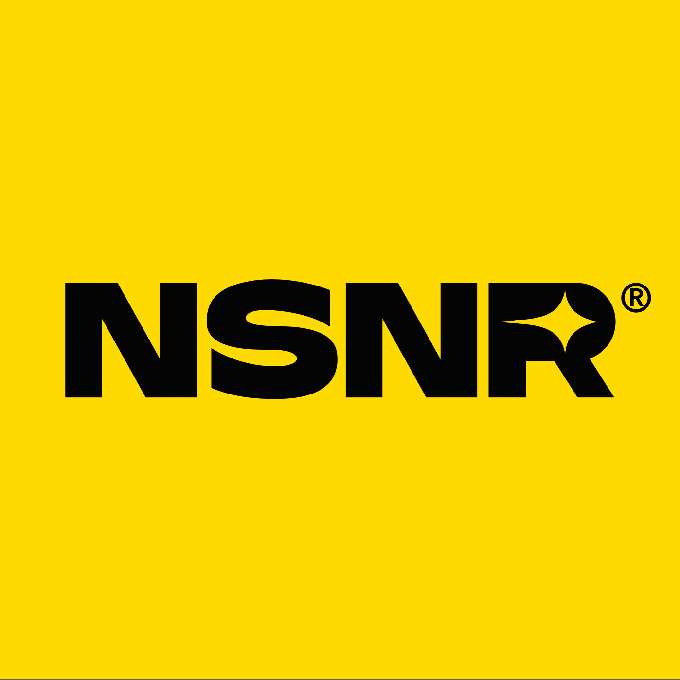 NSNR爬视界