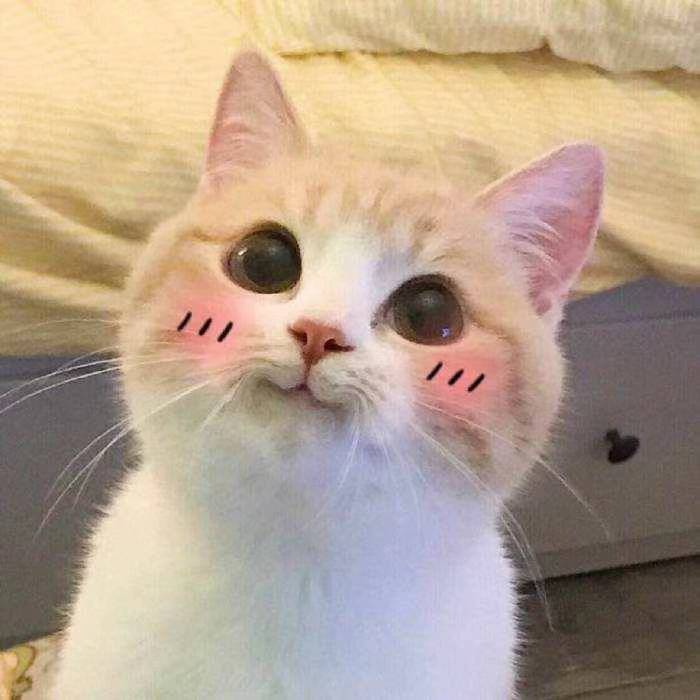 工控备件小站