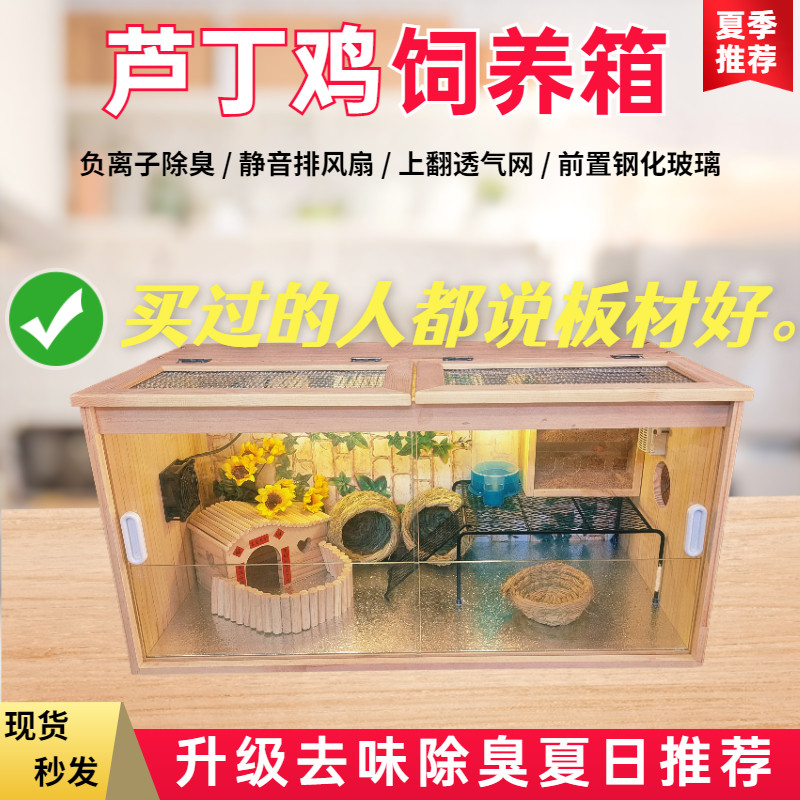 Quail breeding box 🏡 The cute pet paradise + thermostatic treasure box ...