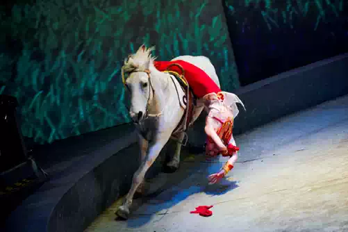 Shanghai Happy Circus Tickets-Shanghai Circus World Tickets