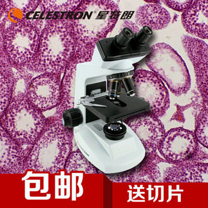 Celestron 44108 biological microscope: 1500x magnification, embark on ...