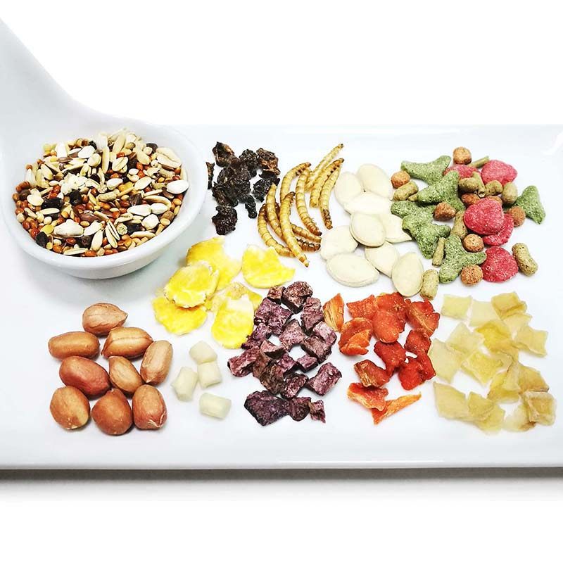 Купить Alice elmo ребенок хомячки Зерно 450G Мао Мао формула хомячки ...