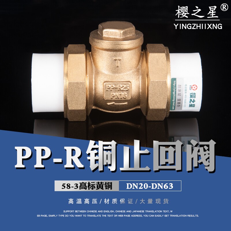 [USD 17.78] ppr Copper Horizontal Check Valve PPR Double Live Connect ...