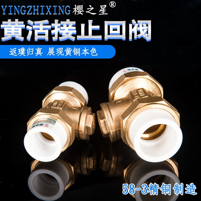 [USD 17.78] ppr Copper Horizontal Check Valve PPR Double Live Connect ...