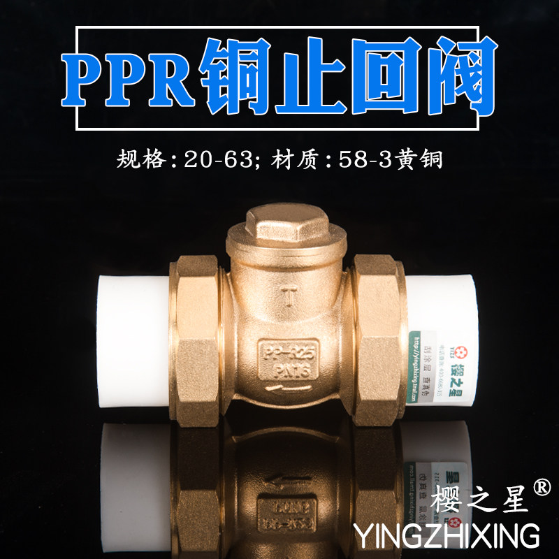 [USD 17.78] ppr Copper Horizontal Check Valve PPR Double Live Connect ...