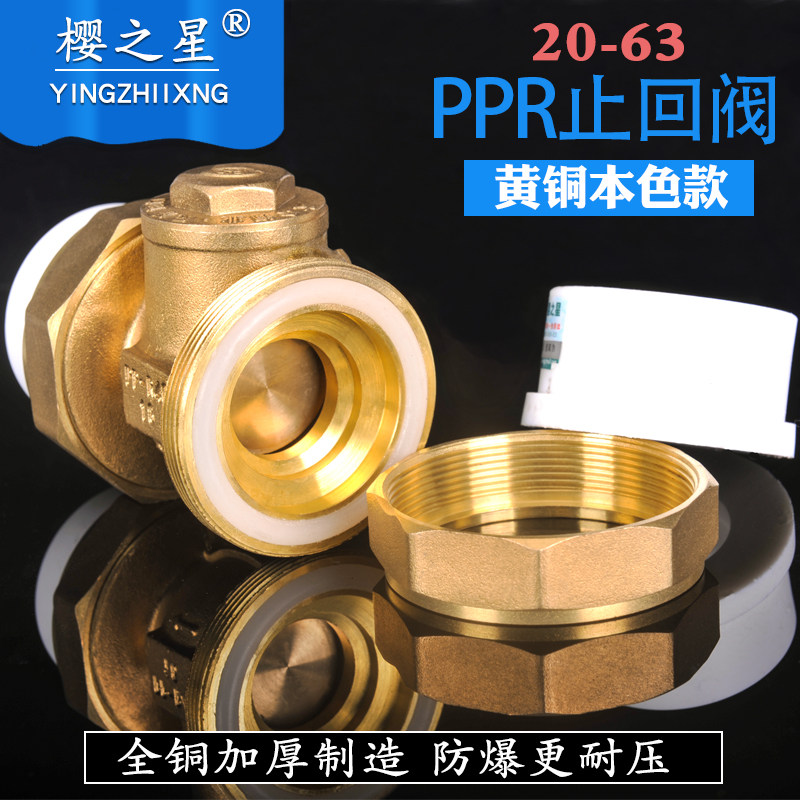 [USD 17.78] ppr Copper Horizontal Check Valve PPR Double Live Connect ...
