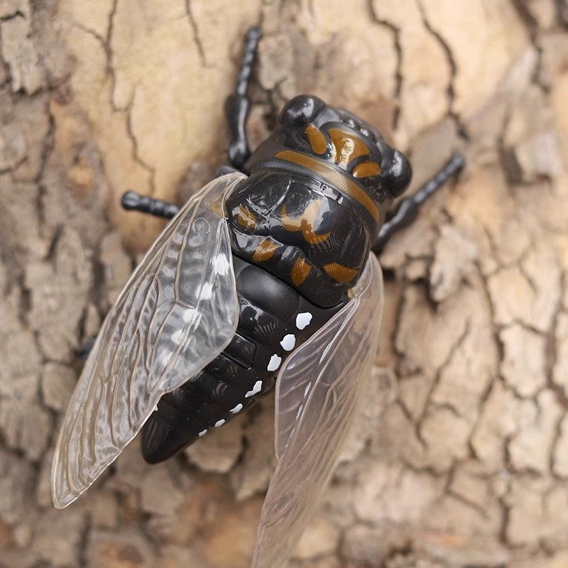 Kids' wind-up crawling insect toy - realistic golden cicada model: a ...