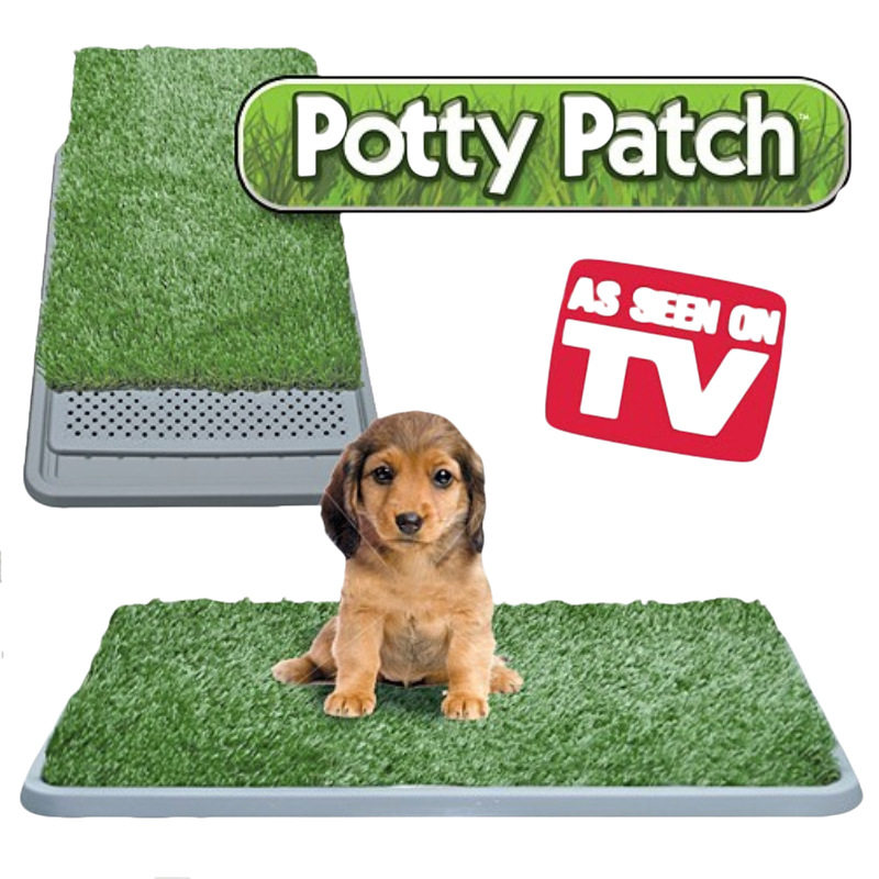 Pet bowel movements are no longer difficult 🐾 Recommended must-have dog ...
