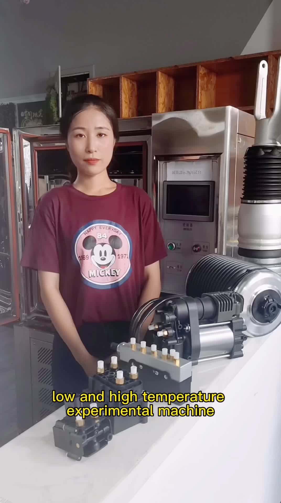 Shock Absorber For Porsche 971 Panamera 2017-2019 Front Automotive ...