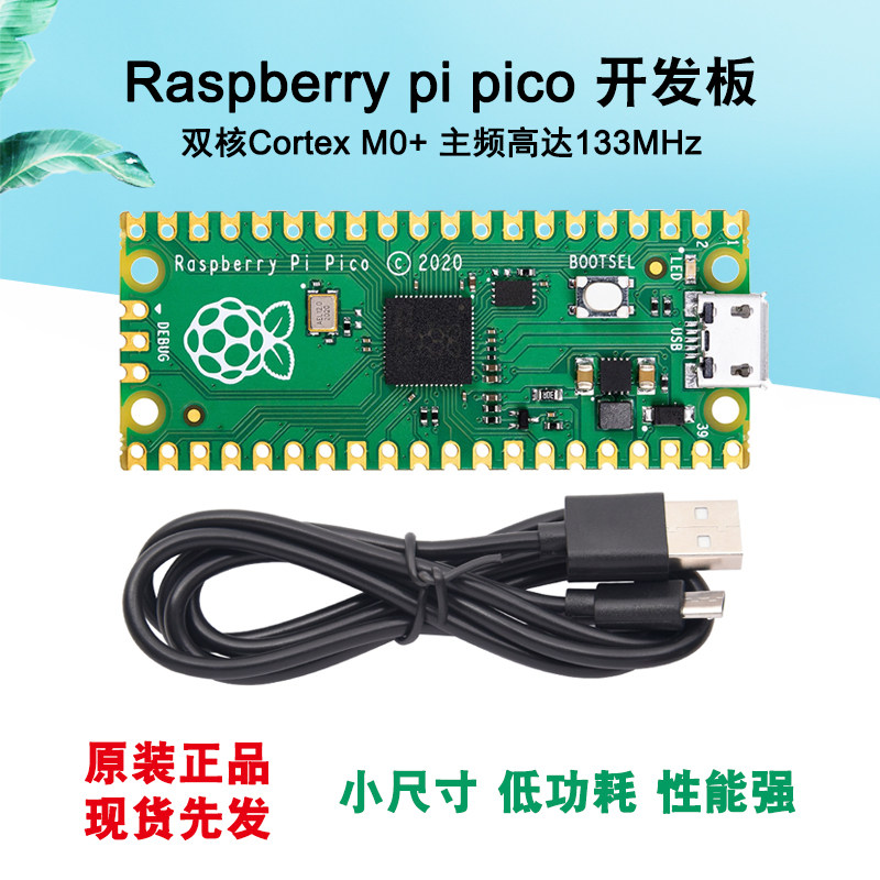 Raspberry Pi Pico Development Board - Dual-Core Microcontroller ...