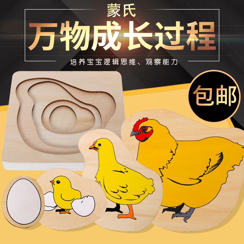 Montessori educational toys: early learning essentials 🦋 Butterfly ...