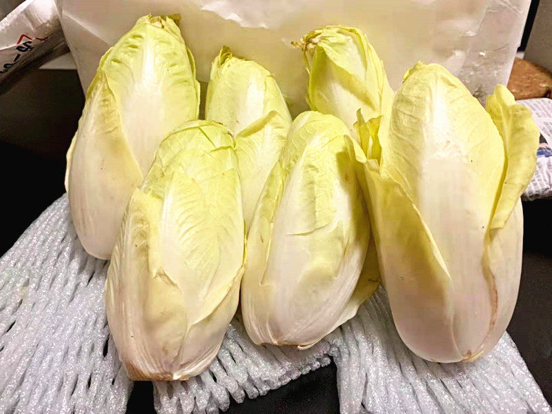 Fresh Yulan dish Jin Yulan European chicory 500g Beijing-Tianjin-Hebei ...