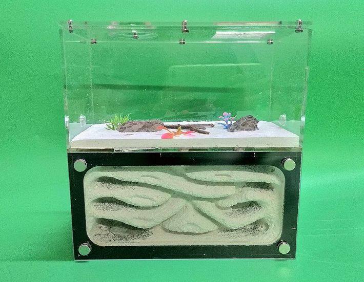 Ant empire with water tower ant nest Ant Ant Workshop Ant Castle ant ...