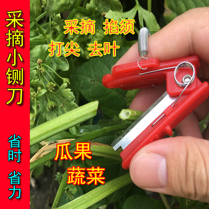 Picking small chopper hand ring vegetable picker, a magical tool to ...