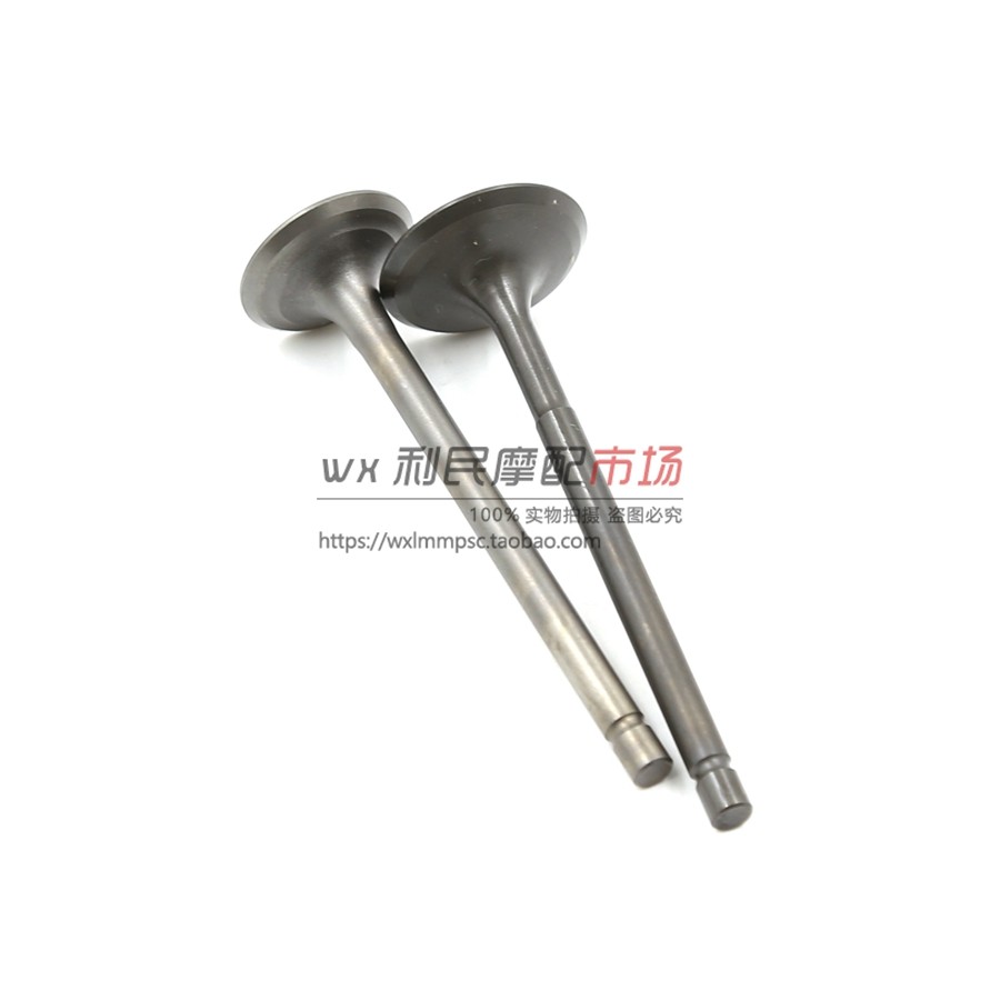 🔥海王星HS125T/丽星/超人150专用气门｜正洲同源·原厂级精度⚡-气门-淘宝好物网