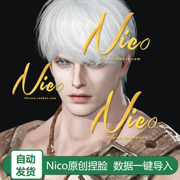 Nico原創 失落的方舟捏臉 男戰士 狂戰裁決毀滅者數據 命運方舟-Taobao