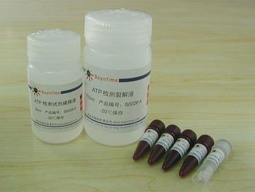 碧云天 ATP检测试剂盒 S0026/S0026B/S0027 200次 正品 科研