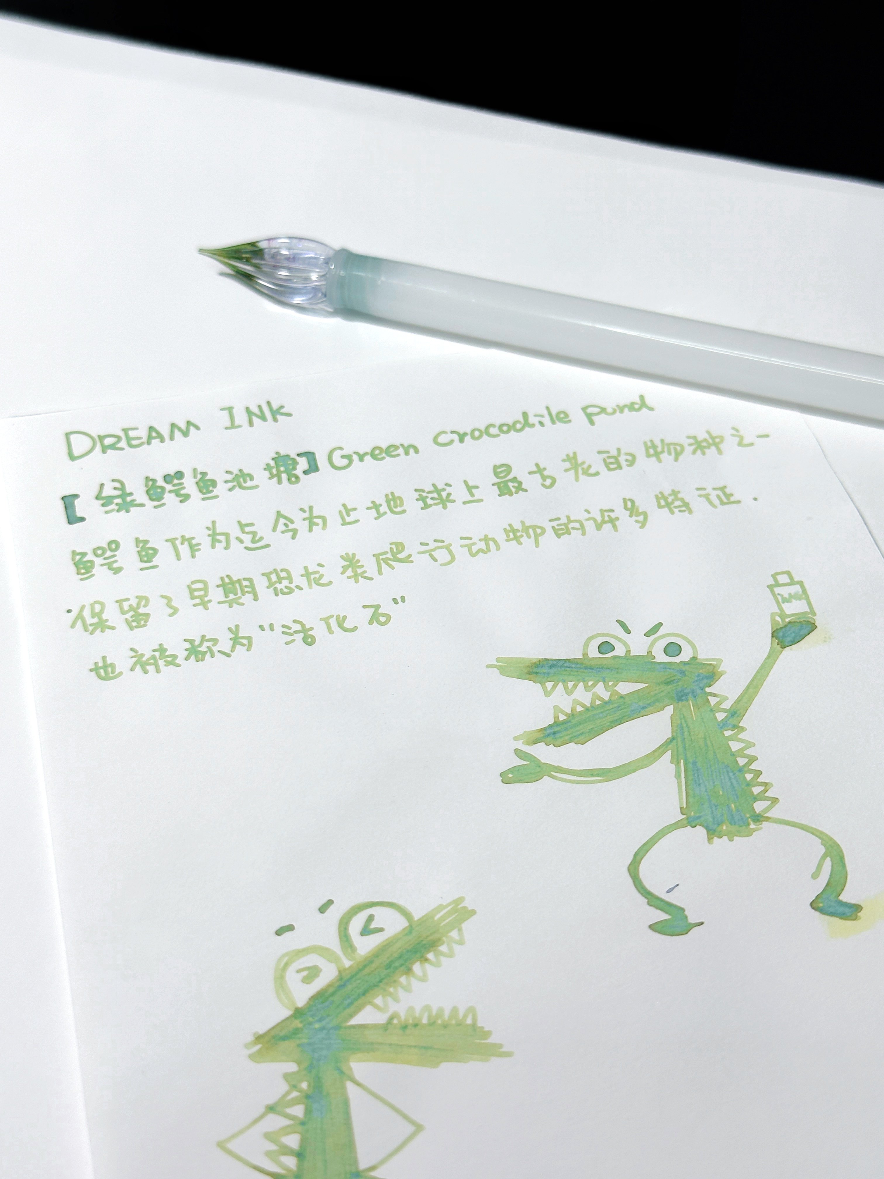 DREAMINK绿鳄鱼池塘？这波DIY墨水让你的手账本秒变艺术品！🎨 -笔用墨水-淘宝好物网