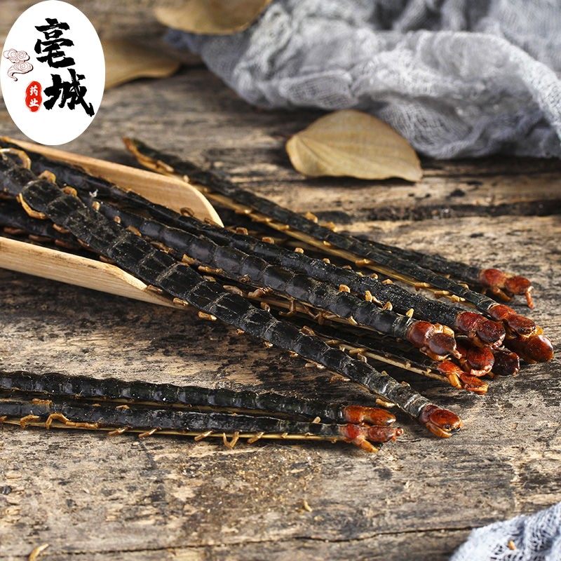 [USD 15.42] Dried centipede domestic red-headed centipede 15 cm long ...