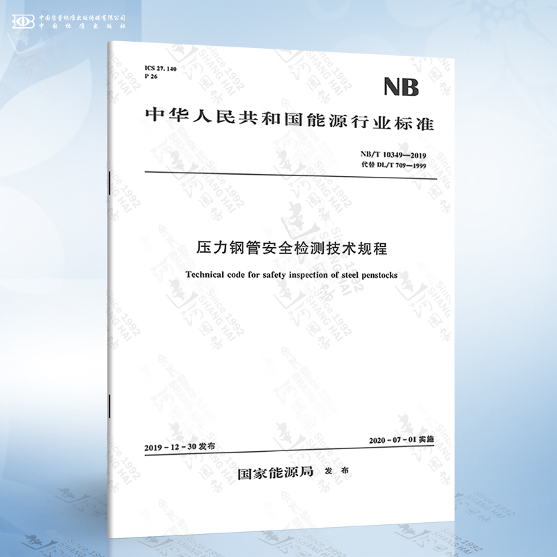 NB/T 10349-2019 壓力鋼管安全檢測技術規程-Taobao