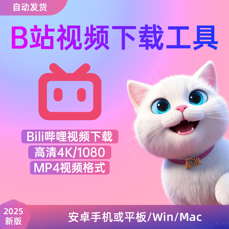 B站网页版电脑入口，轻松玩转Bilibili🤩-bilibili-淘宝百科网