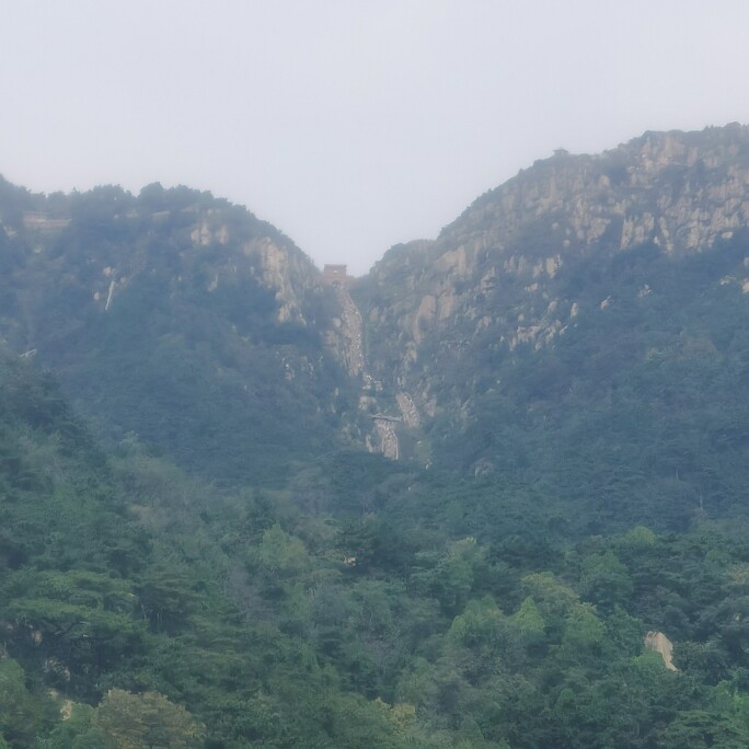 金驰店铺