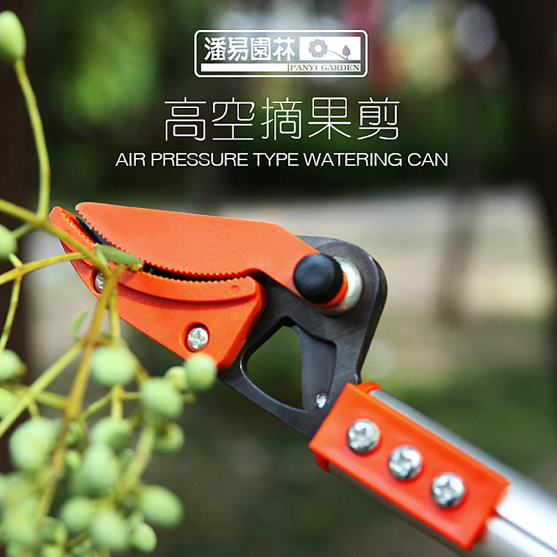 High branch scissors fruit picker saw branch fruit scissors gardening ...