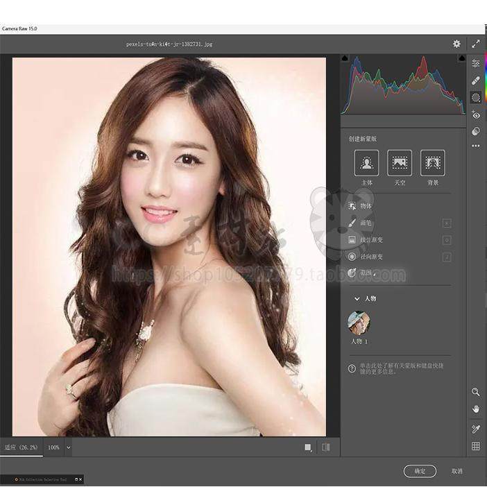 PS怎么装Camera Raw 17.5插件？A7R5用户必看！-好物推荐-淘宝好物网