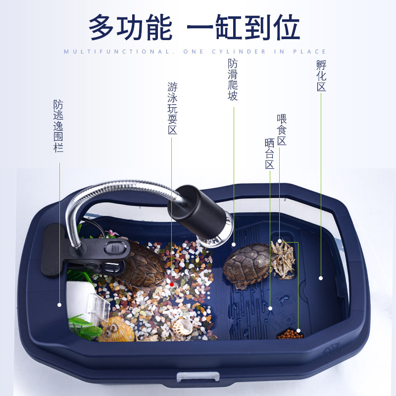 Turtle box with sun table Brazilian turtle ecological land and water ...