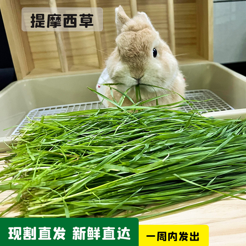 Limited River Zhejiang Shanghai and Fujian Province Fresh South Titian ...