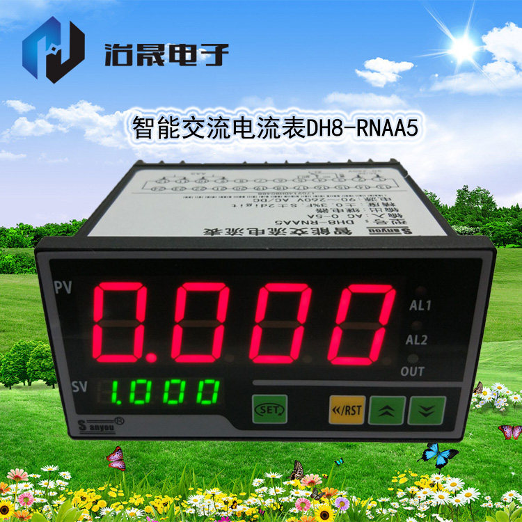 DH8-RRAA5 factory direct sales SHDH8-RRAA5 SANYOU really effective ...