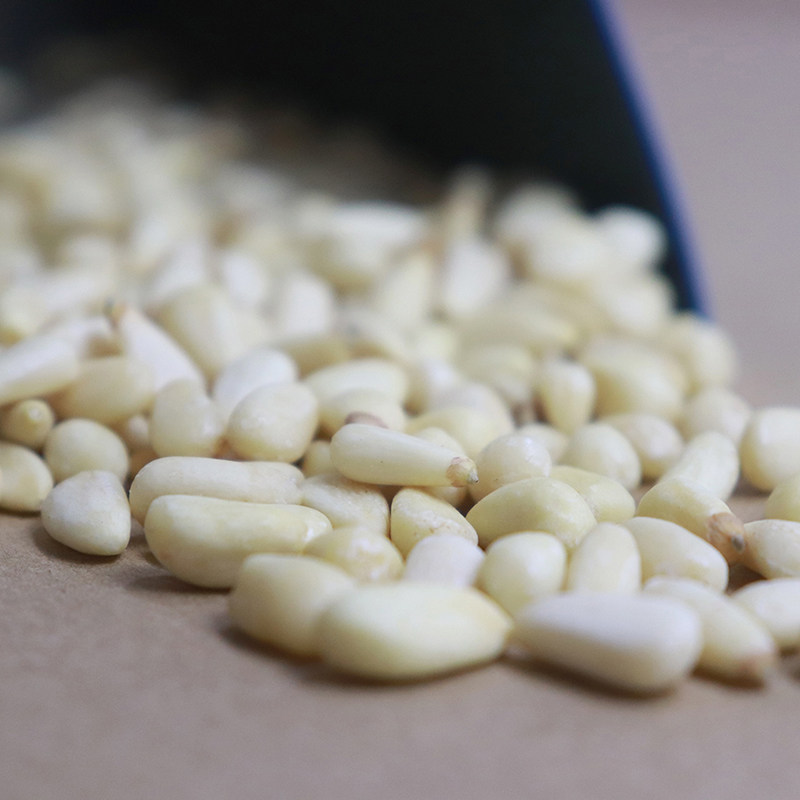 Changbai Mountain wild extra large granules of red pine nuts new goods ...
