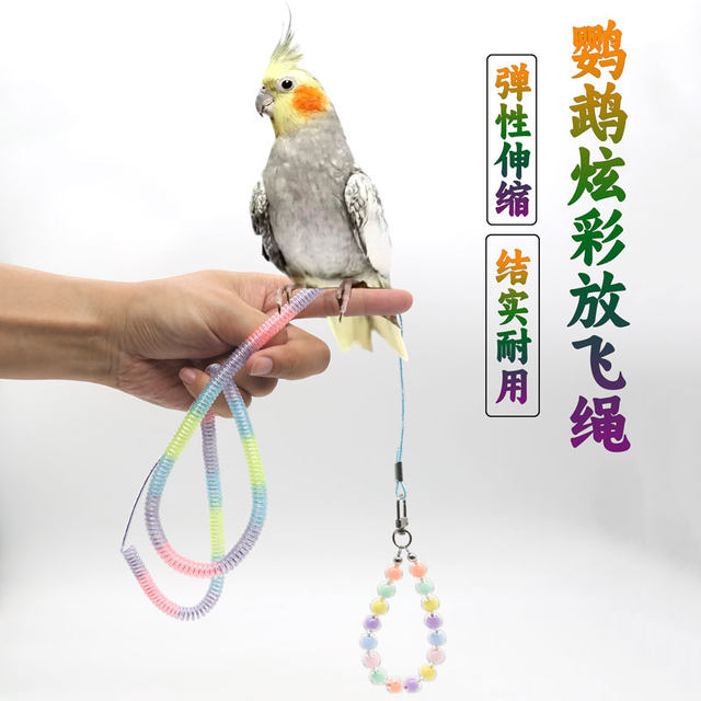 Parrot fly rope anklet, live buckle anklet, does not hurt the bird's ...