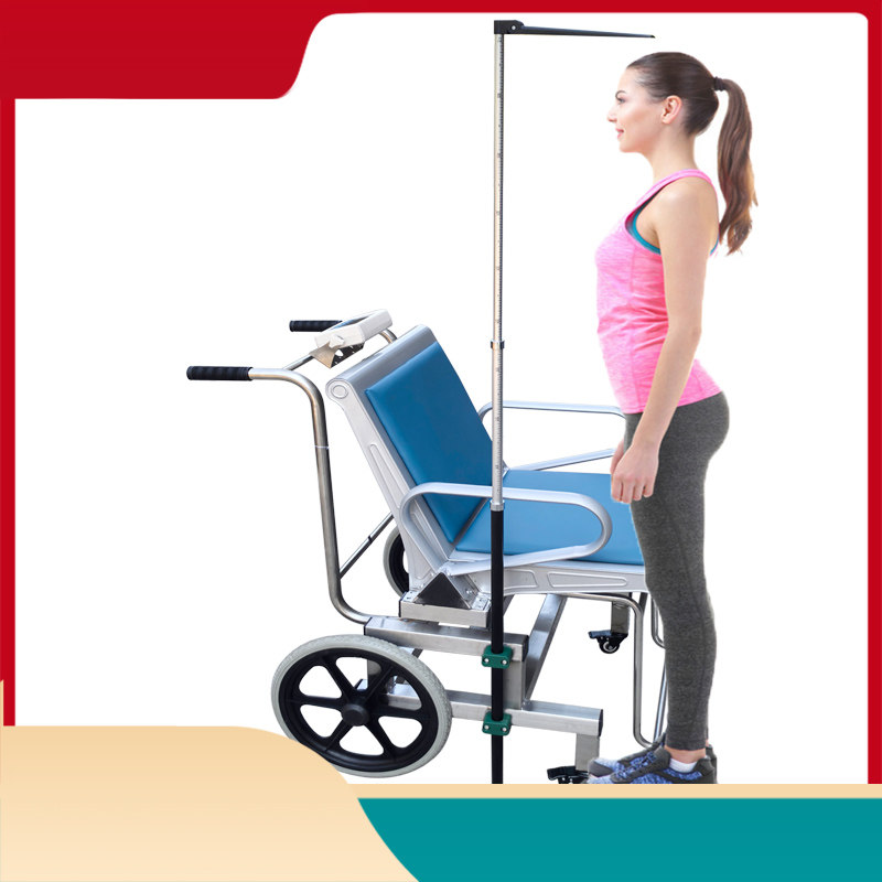 Mobile seated scale for nursing homes | 300kg seated weight scale ...