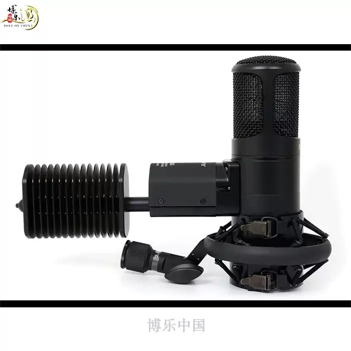 SONY C800G PAC 电子管话筒 预售