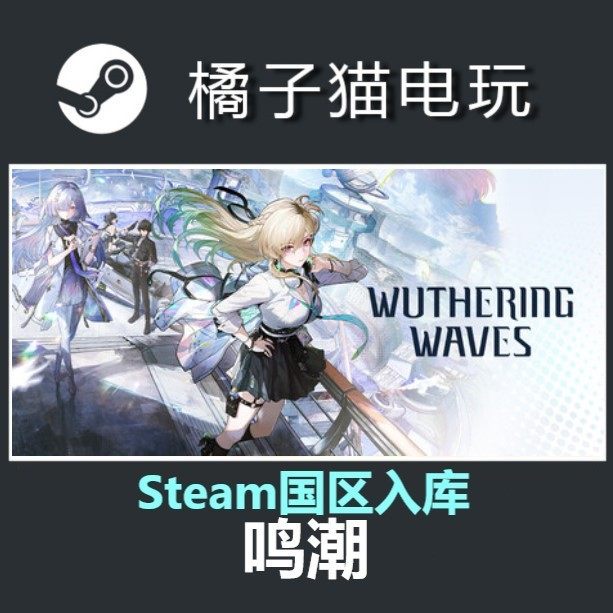 Steam鸣潮国际服国区入库！命运的召唤来了(๑•̀ㅂ•́)و _steam游戏_淘宝游戏网
