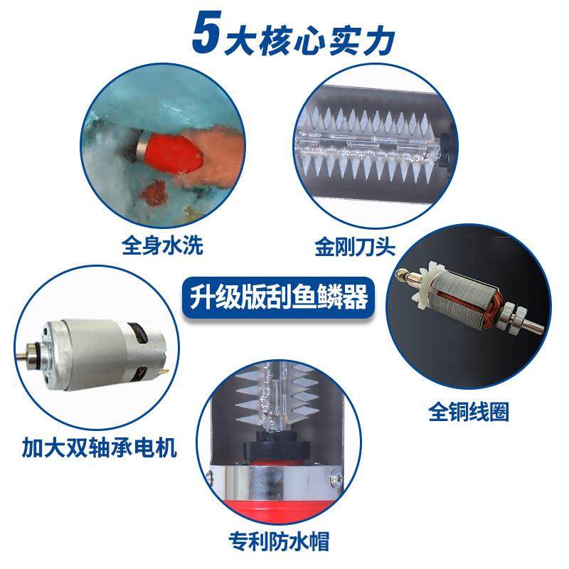 Scrap fish scales electric scraping scales home to go to artifacts ...