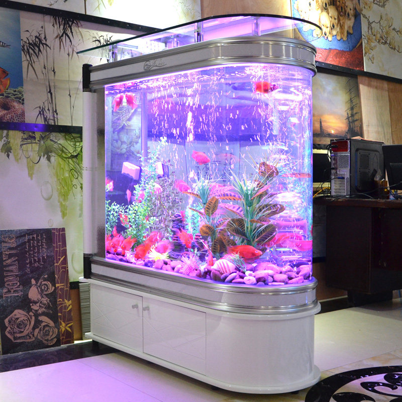 [USD 283.84] Aquarium Ultra White Glass Bullet Head Fish Bowl Screen ...