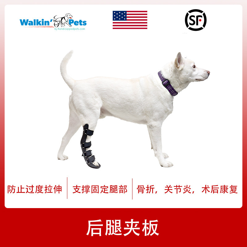 Pet dog hind leg splint: your furry friend's recovery essential for ...