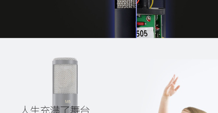 北京797Audio M5专业录音大振膜人声电容麦克风配音K歌直播话筒-阿里巴巴