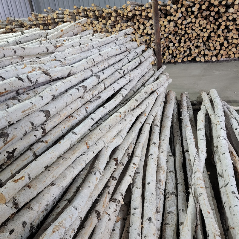 [USD 5.99] Natural birch tree decorated tree rod birch trunk birch tree ...