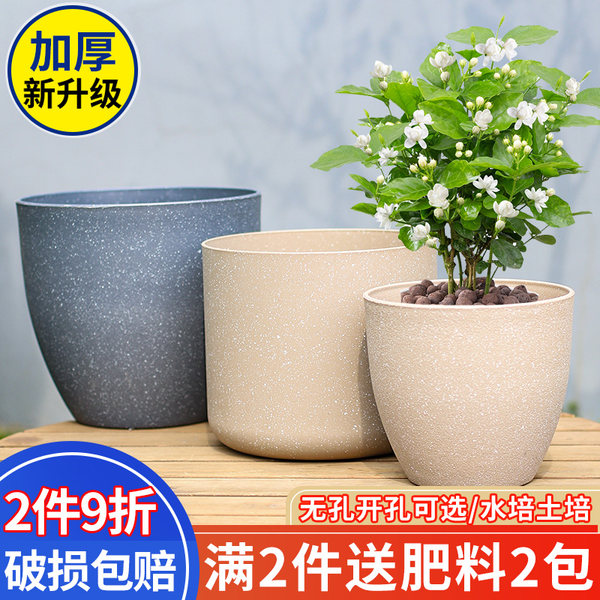 Horticultural flowers, green plant pots, frosted stone like flower pots ...