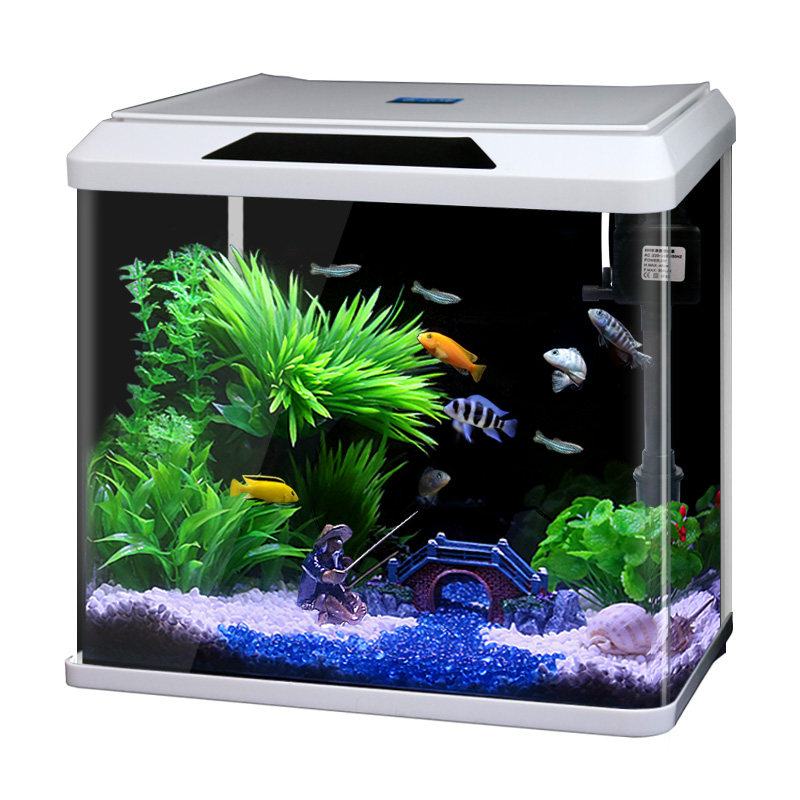 Water-free lazy man ecological fish tank aquarium living room tropical ...