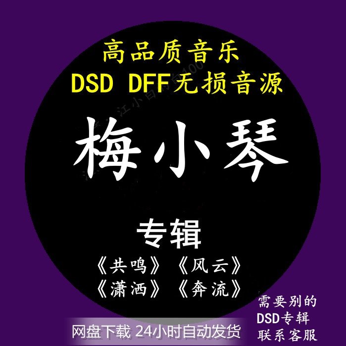 梅小琴音乐专辑：《共鸣》 DSD/DFF无损高品质HIFI母带音源下载