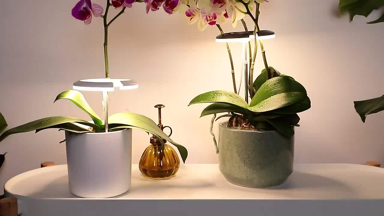 J&c Planter Mate 10w White Tunable Spectrum Led Grow Light Migro Grow ...