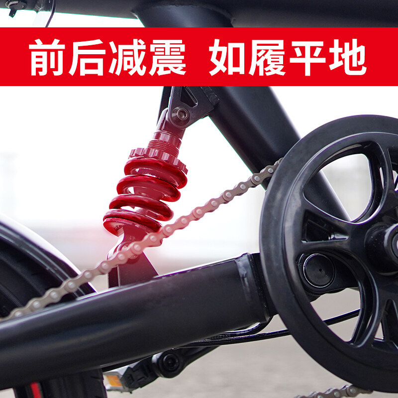 Big fish electric bicycle dyu new national standard lithium battery ...