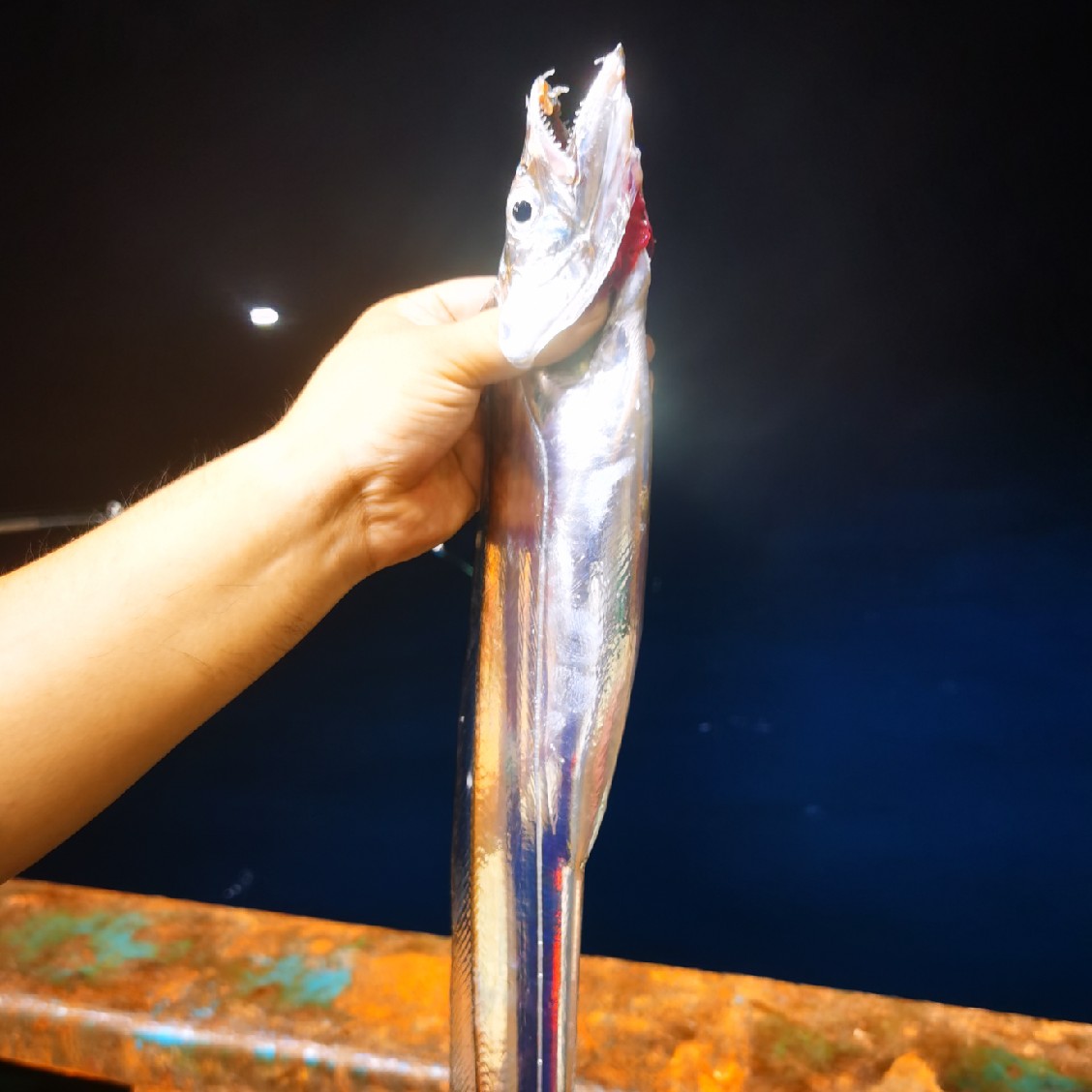 小船海鲜